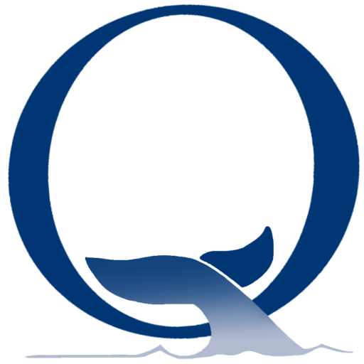 cropped-NGL-Logo-2-e1653070057363.png – Naniq Global Logistics